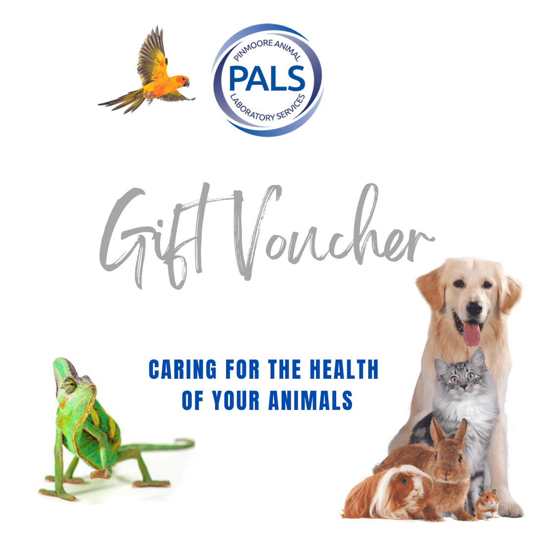 Gift Vouchers PALS Vet Lab