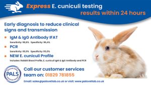 Express E.cuniculi antibody testing now available! - PALS Vet Lab