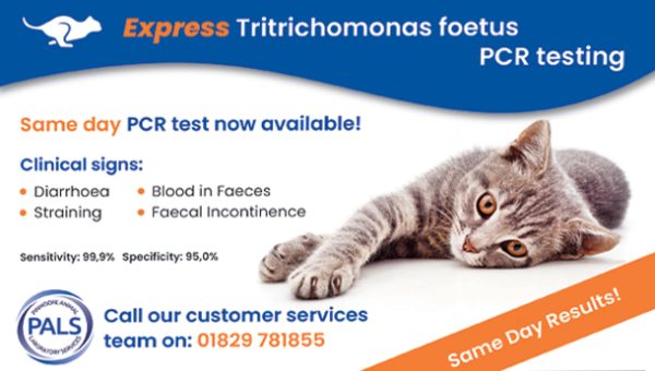 Express Tritrichomonas Foetus PCR Testing Now Available! - PALS Vet Lab