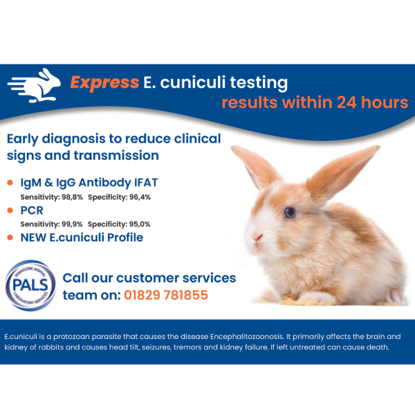 Express E.cuniculi antibody testing now available! - PALS Vet Lab