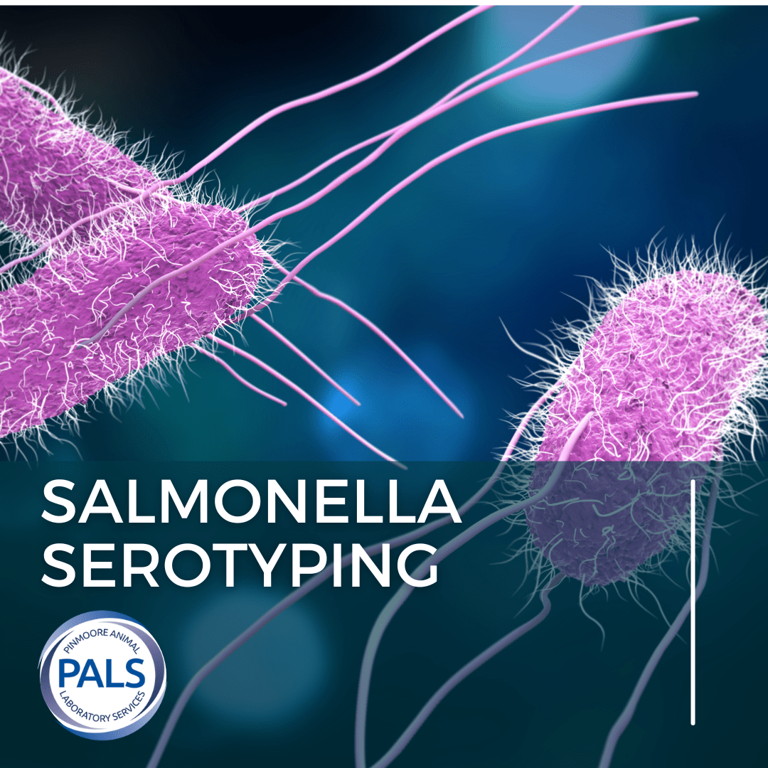 Salmonella serotyping - PALS Vet Lab