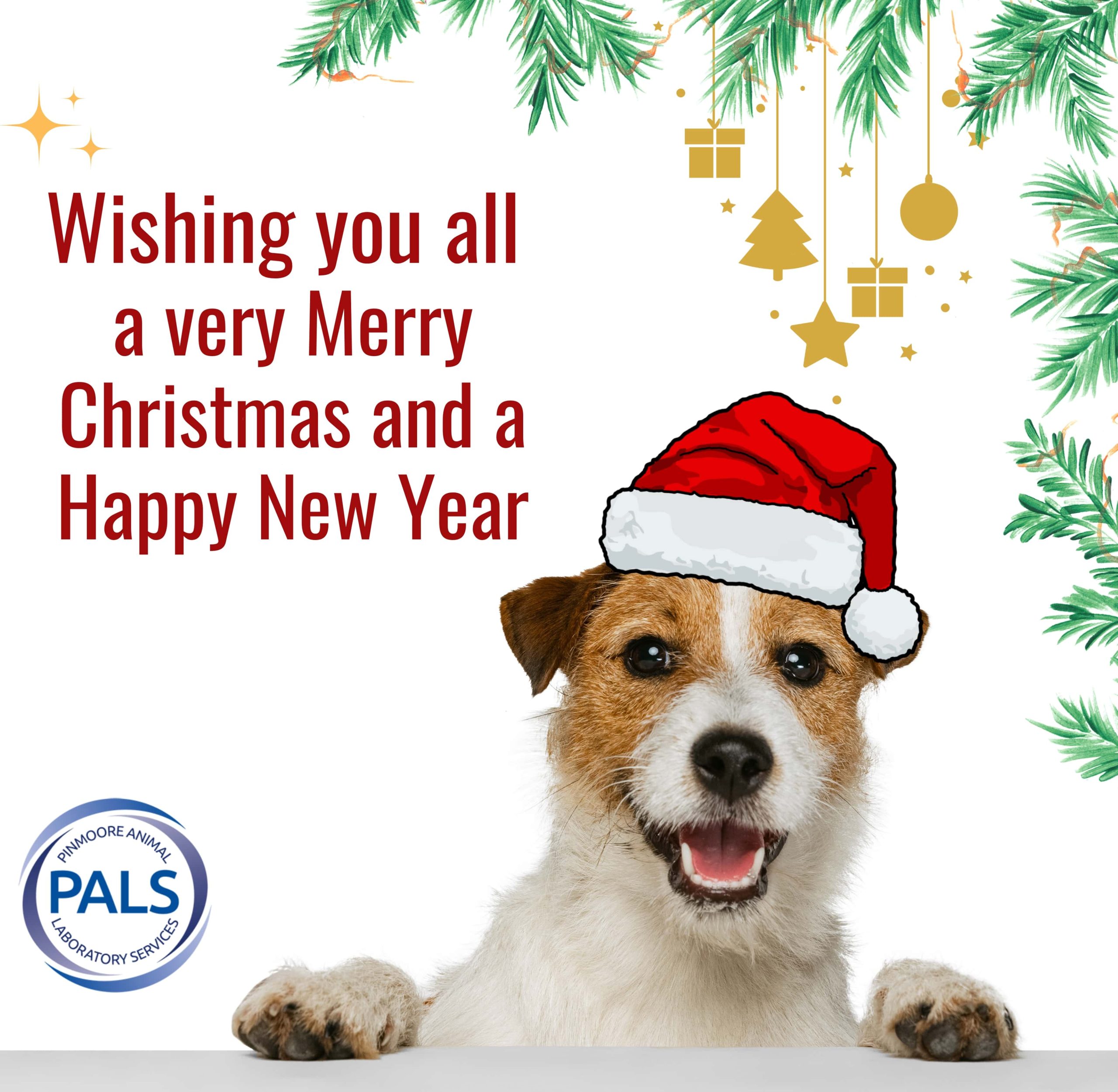PALS Vet Lab - Specialists in Veterinary Diagnostics