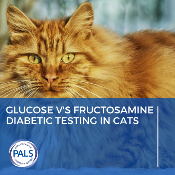 Glucose V's Fructosamine Diabetic Testing in Cats - PALS Vet Lab
